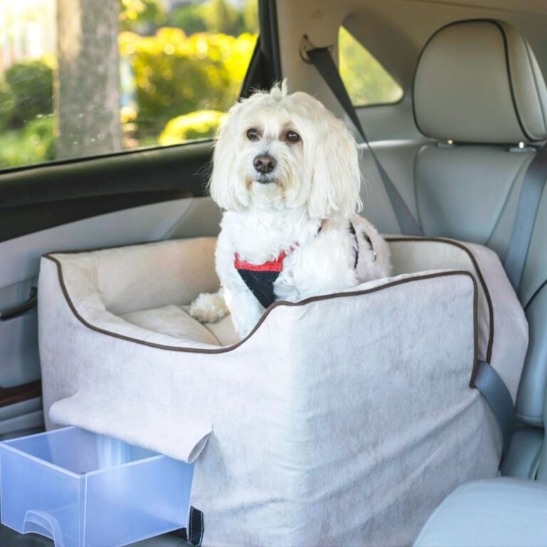 Snoozer Luxury Lookout II Dog Car Seat with Microsuede | Booster