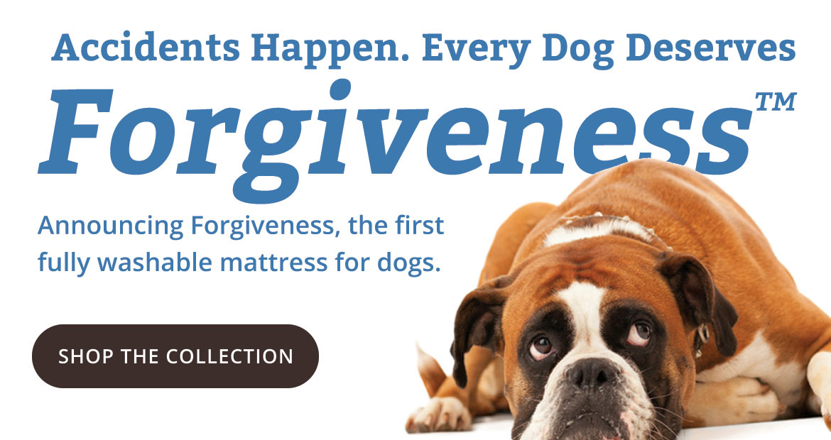 Snoozer Dog Beds | Dog Car Seats | Carriers | 100's of Fabrics