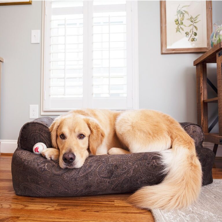 Snoozer Overstuffed Luxury Dog Sofa | Show Dog | 9 Colors | 3 Sizes