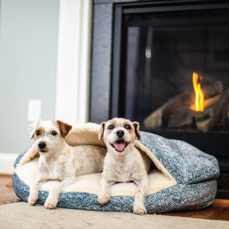 Snoozer Cozy Cave® Dog Beds | Dog Cave Beds | Hooded, Covered Beds