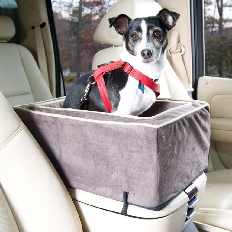 Luxury Console Dog Car Seat with Microfiber | Lookout | Snoozer