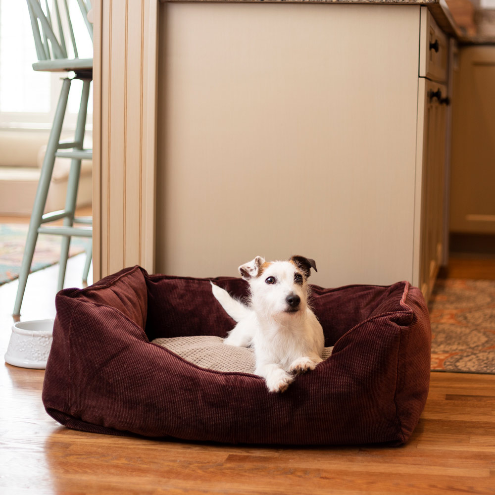 Home and Go Luxury 2-in-1 Dog Bed | Snoozer