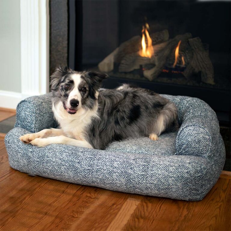 Snoozer Luxury Sleeper Sofa - Show Dog Collection | Luxury Dog Beds