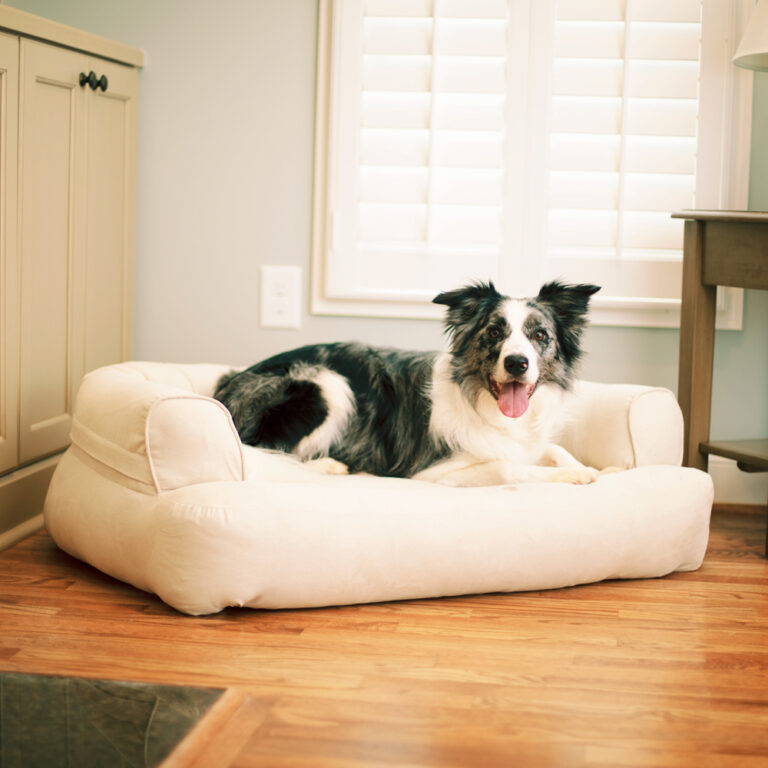 Snoozer Luxury Sleeper Sofa with Microsuede | Luxury Dog Beds