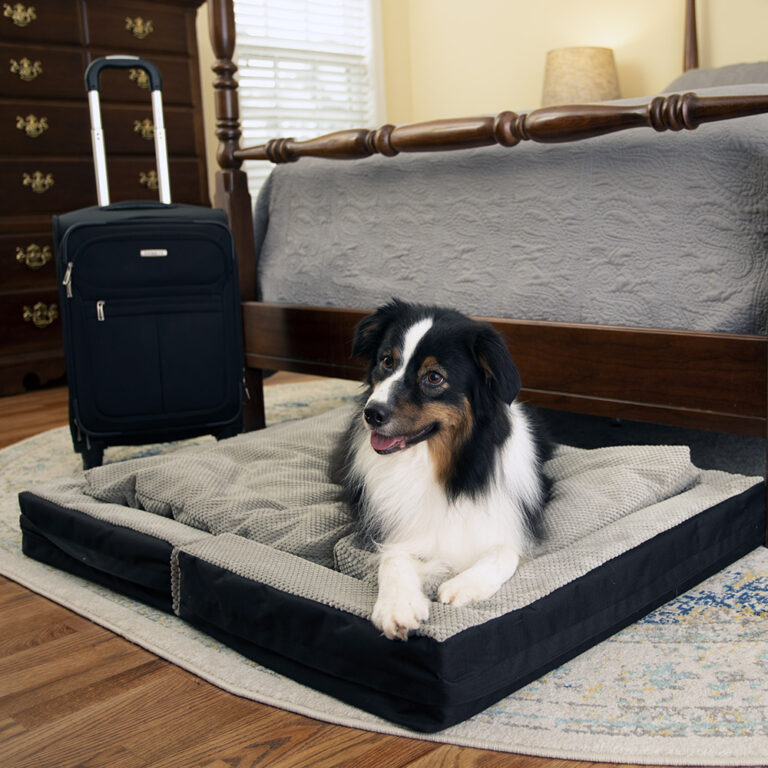 SUV Dog Bed | Snoozer