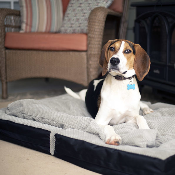 Snoozer Travel Mate Luxury Dog Bed | Travel Dog Beds