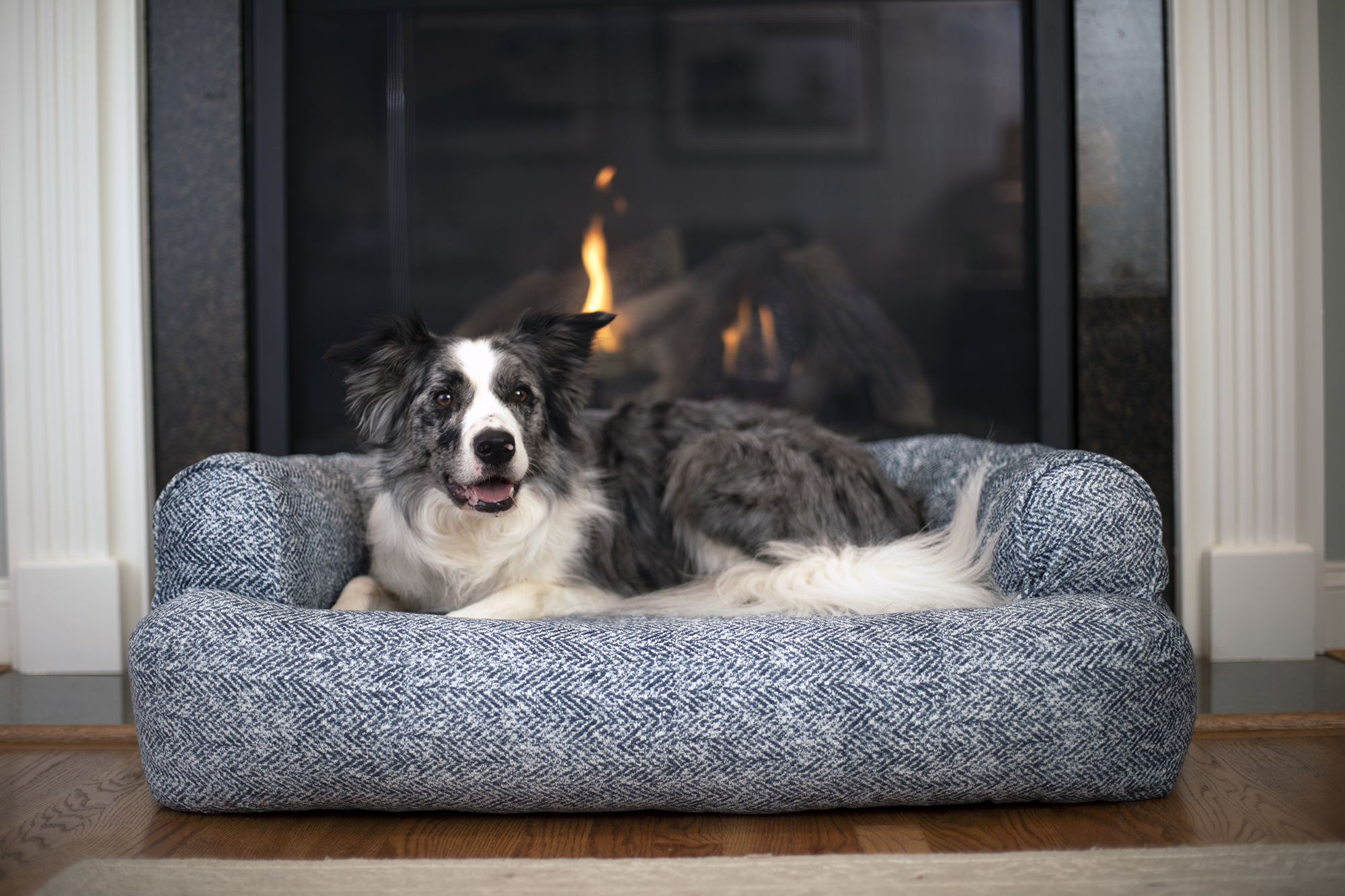 Snoozer Dog Beds | Dog Car Seats | Carriers | 100's of Fabrics