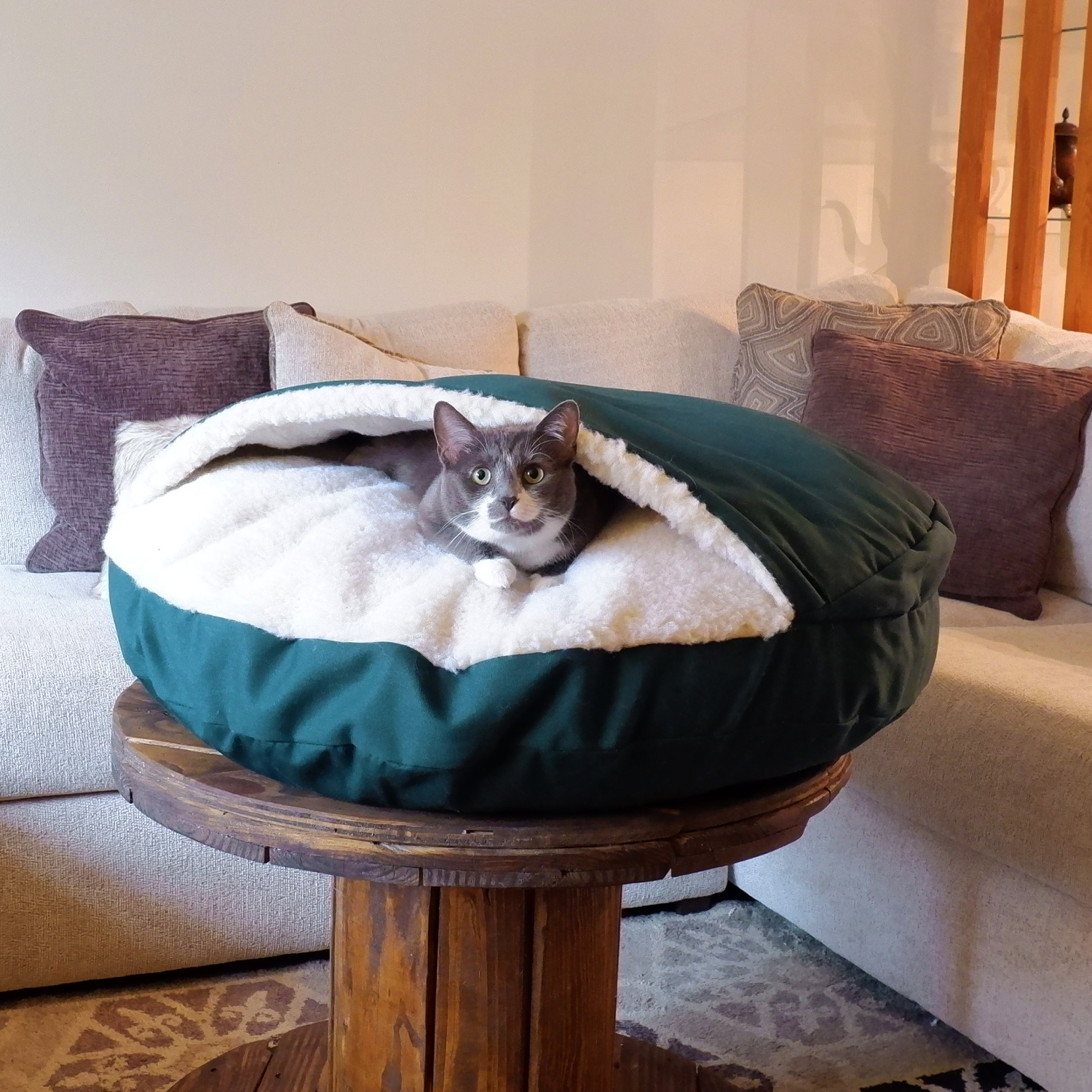 Snoozer Cozy Cave® Dog Bed | SnoozerPetProducts.com