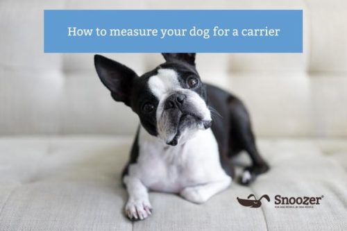 How to measure your dog for a carrier | Snoozer Pets
