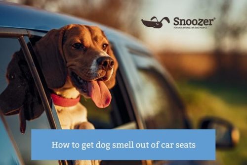 How to get dog smell out of car seats | Snoozer Pet Products