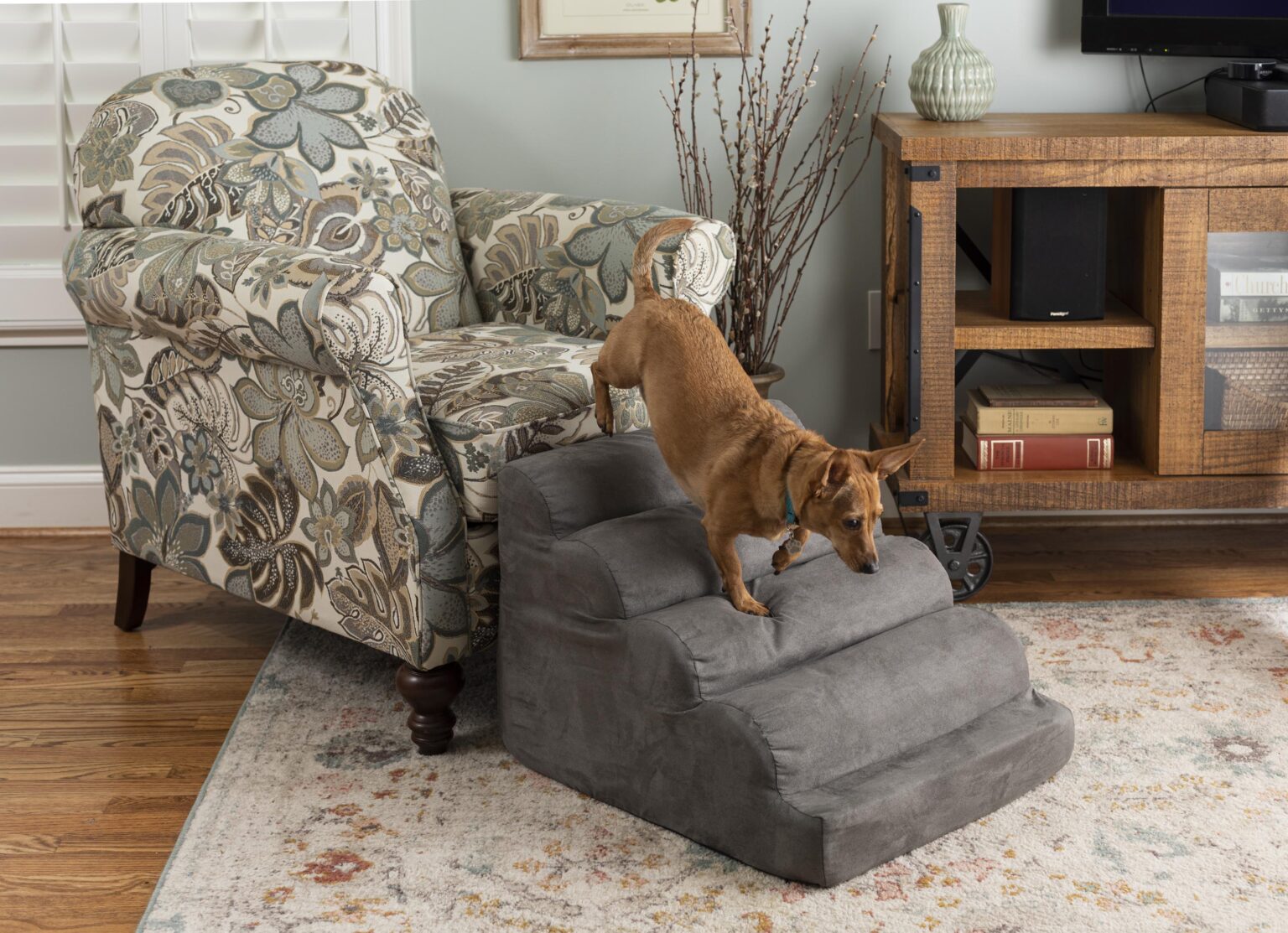 Safe Paws, Happy Hops: Why Your Dog Needs a Snoozer Scalloped Pet Ramp