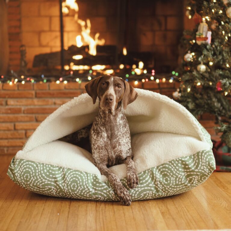 Luxury Cozy Cave® Rectangle Dog Bed | Holiday | Snoozer Pets