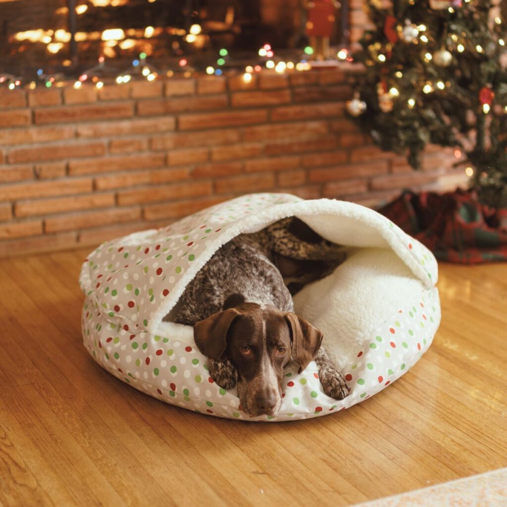 Snoozer Cozy Cave® Dog Beds | Snoozer Pet Products