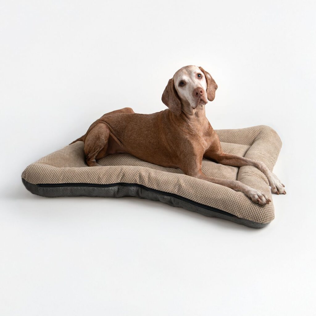 All Day Reversible Dog Bed - Show Dog Collection | Snoozer