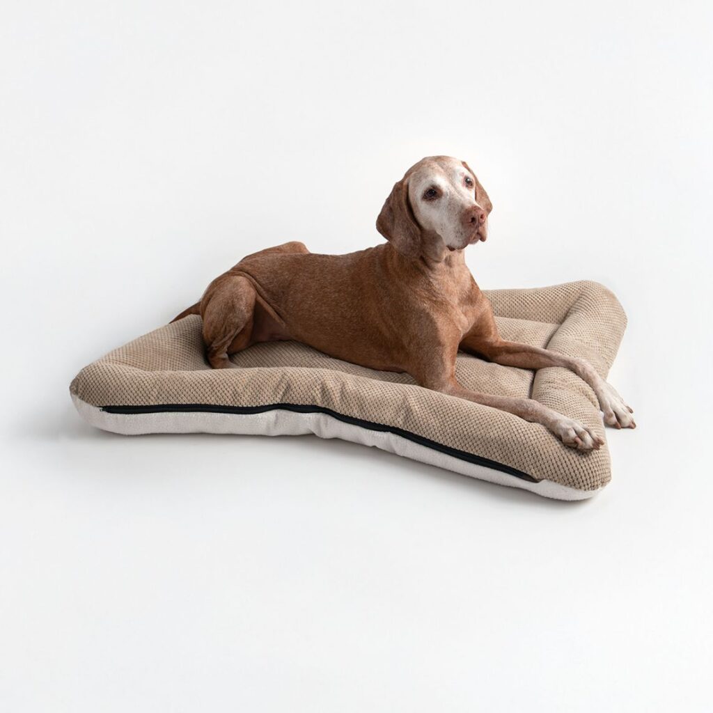 All Day Reversible Dog Bed - Show Dog Collection | Snoozer