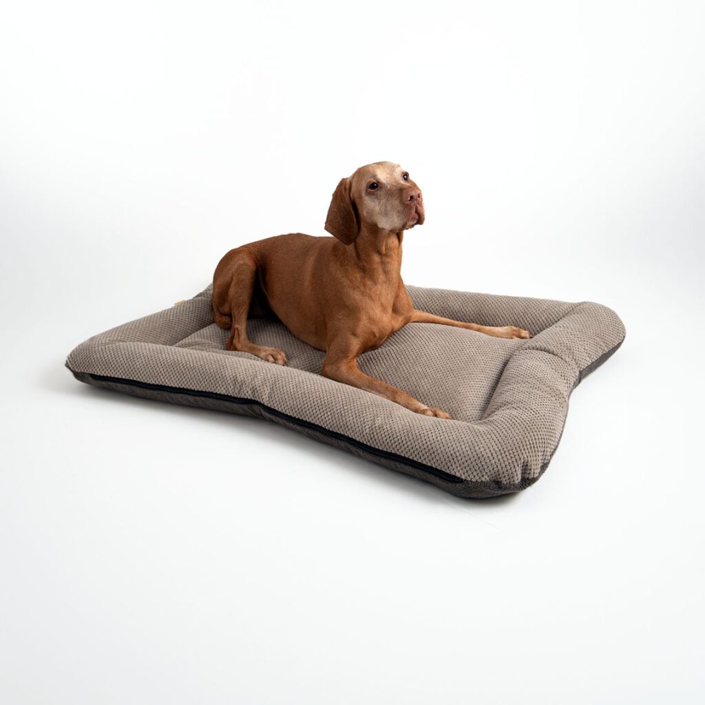 All Day Reversible Dog Bed - Show Dog Collection | Snoozer