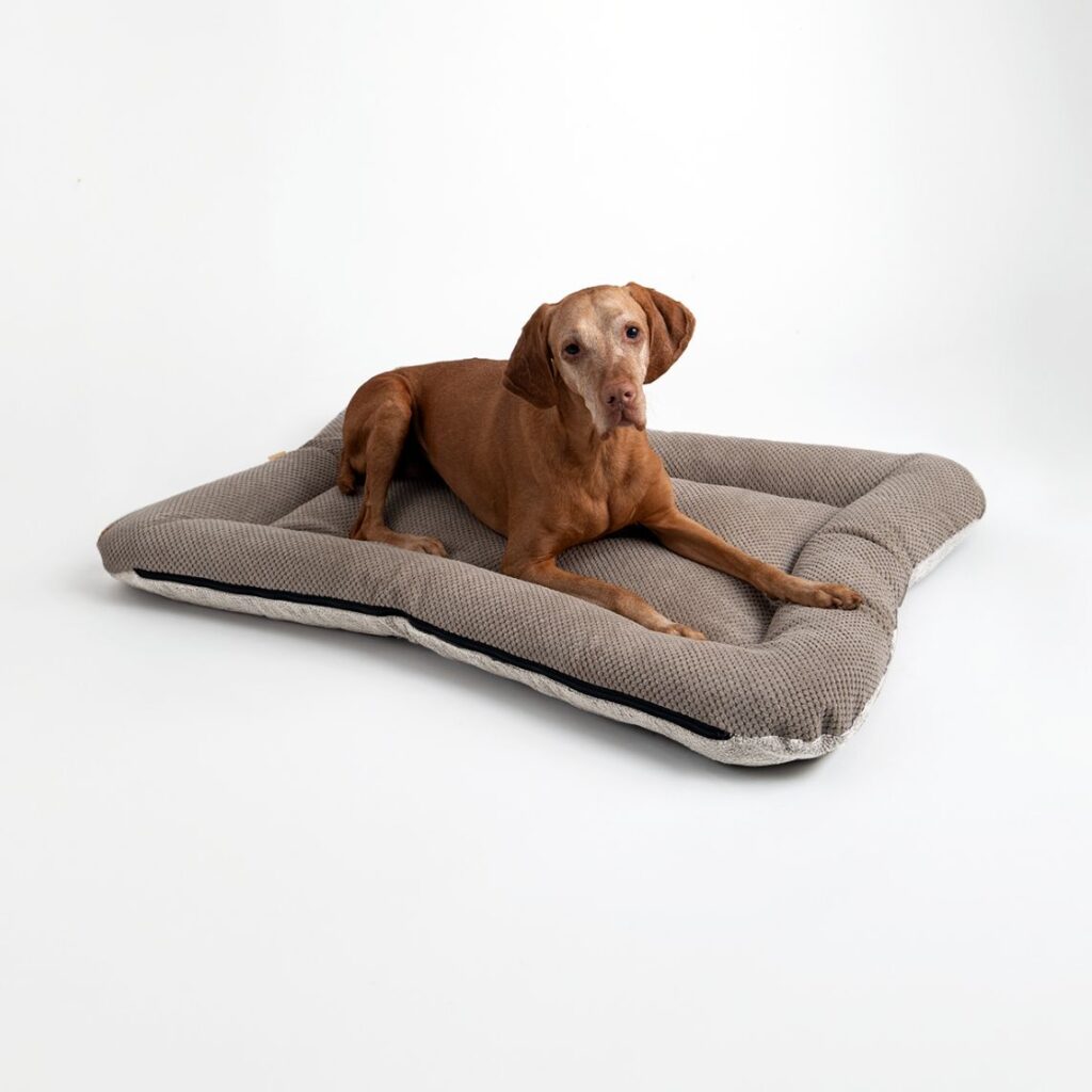 All Day Reversible Dog Bed - Show Dog Collection | Snoozer