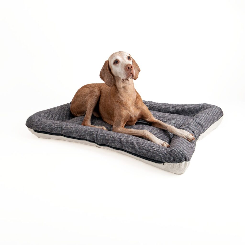 All Day Reversible Dog Bed - Show Dog Collection | Snoozer