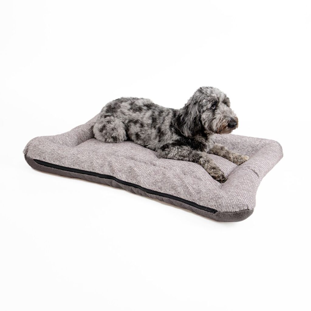 All Day Reversible Dog Bed - Show Dog Collection | Snoozer