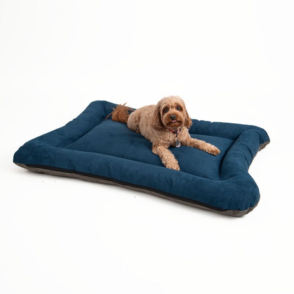 All Day Reversible Dog Bed - Luxury Microsuede | Snoozer