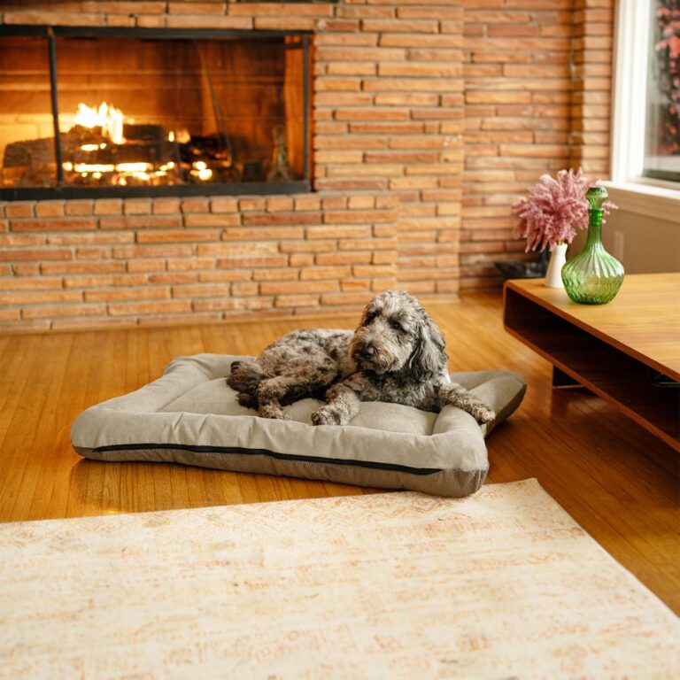 All Day Reversible Dog Bed - Luxury Microsuede | Snoozer