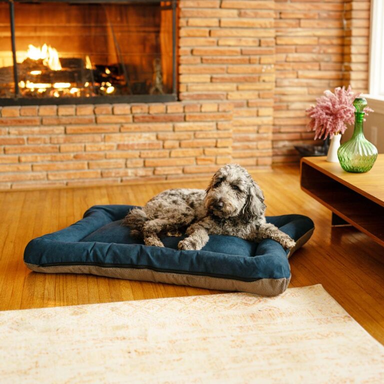 All Day Reversible Dog Bed - Luxury Microsuede | Snoozer