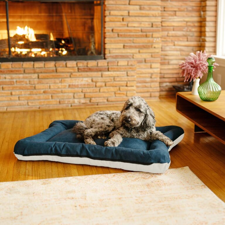 All Day Reversible Dog Bed - Luxury Microsuede | Snoozer