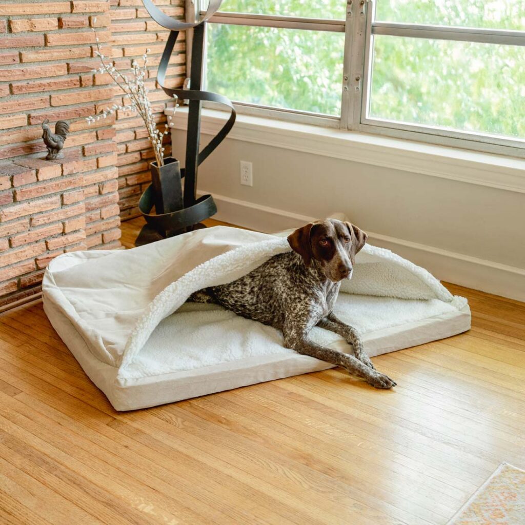Forgiveness Fully Washable Luxury Cozy Cave® Rectangle Dog Bed ...
