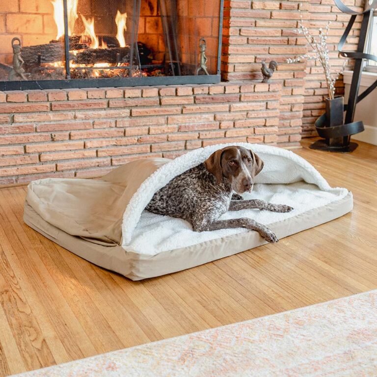Orthopedic Cozy Cave® Rectangle Dog Bed | Snoozer